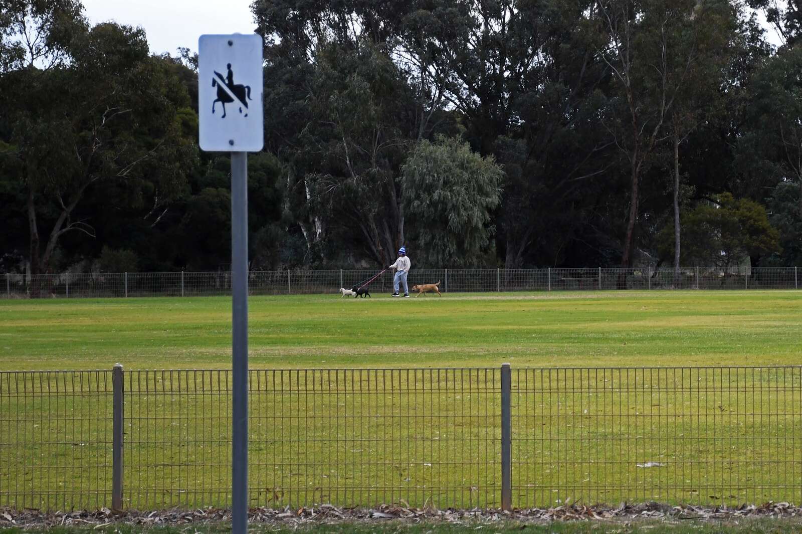 Council’s “quick win” pooch park project see progress with designs ...
