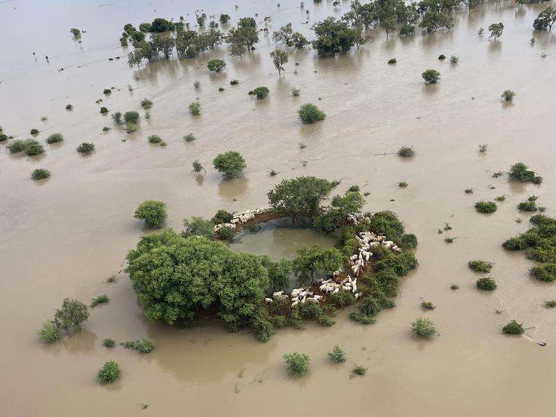 100mm in 1hr: Central Qld drenched as northwest floods | Country News