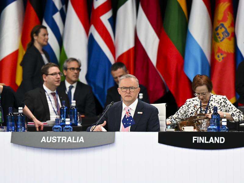 PM Albanese to attend NATO security summit | Country News