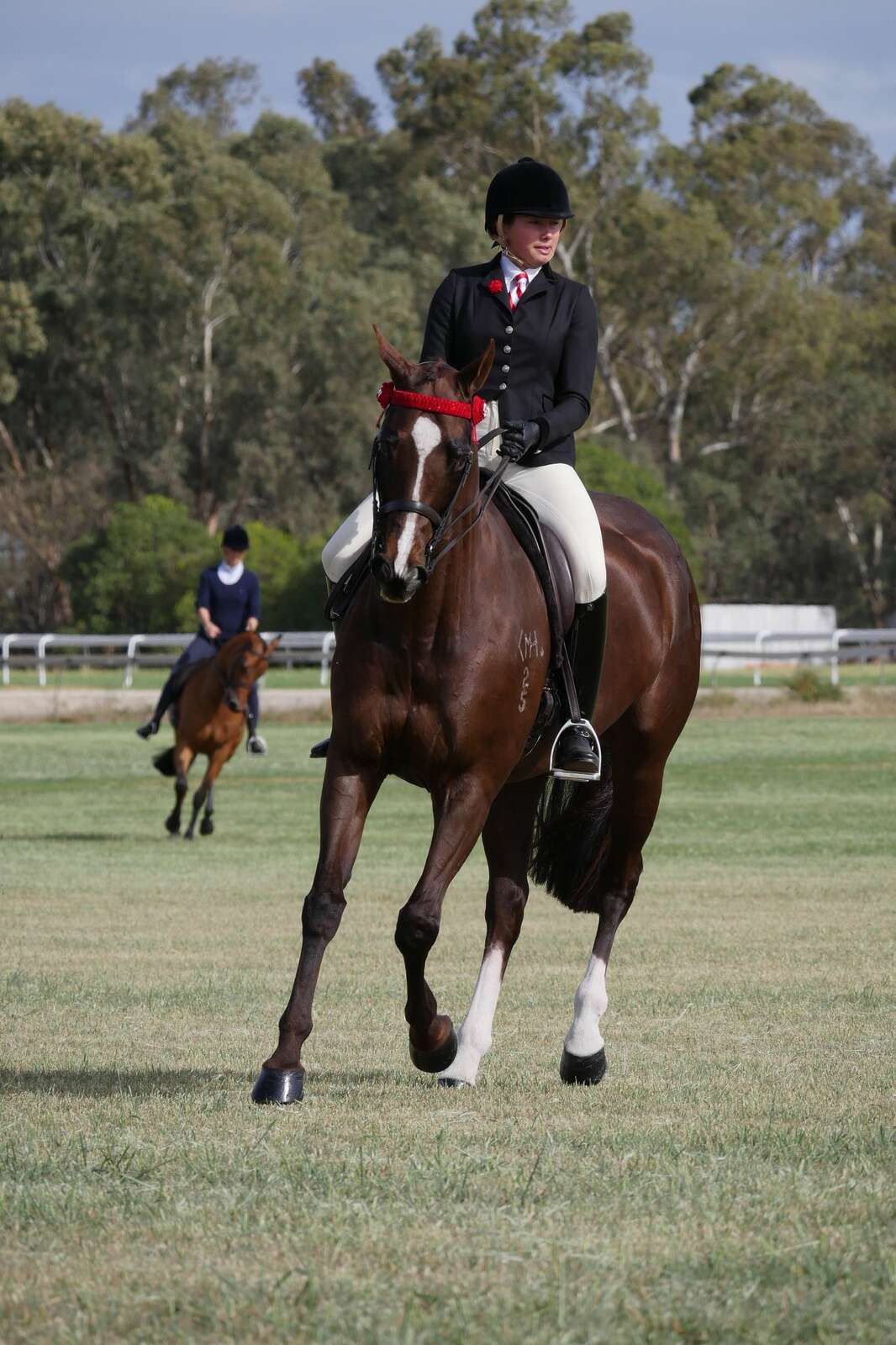 Corowa Show makes triumphant return! | Corowa Free Press