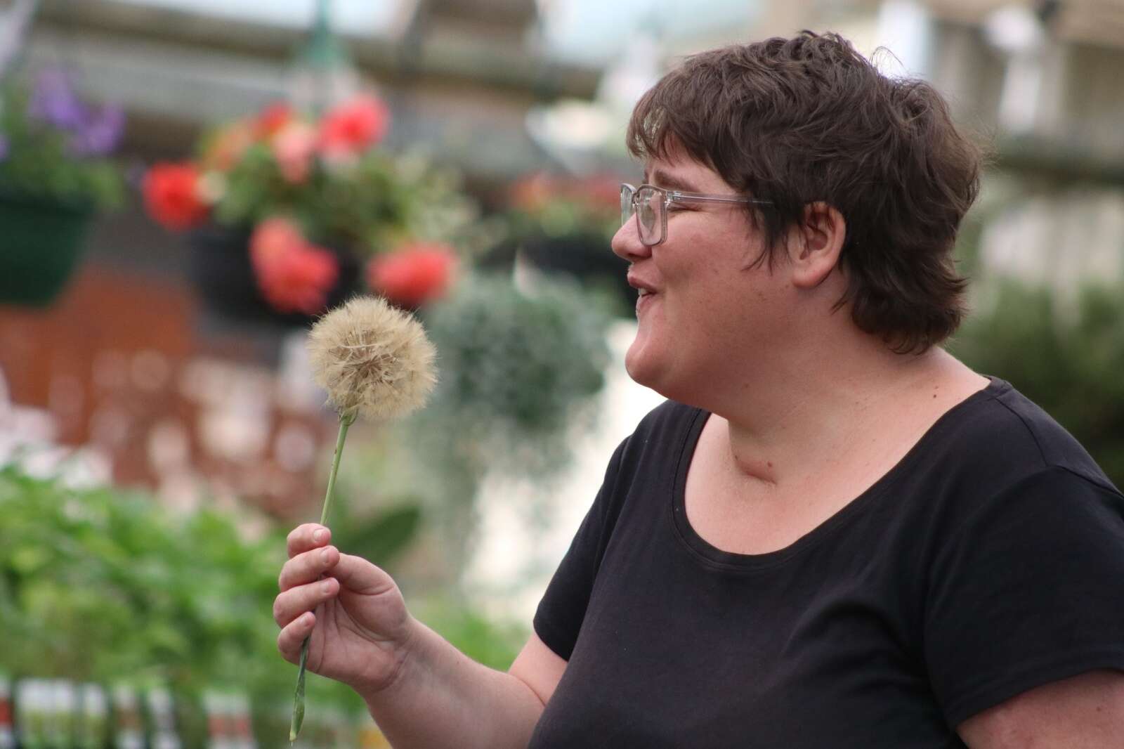 Daphne’s everlasting bloom | Shepparton News