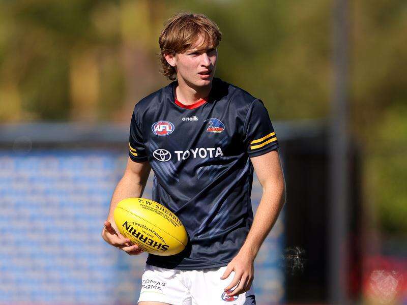 Michalanney is Crows' first father-son to play in AFL | Dairy News ...
