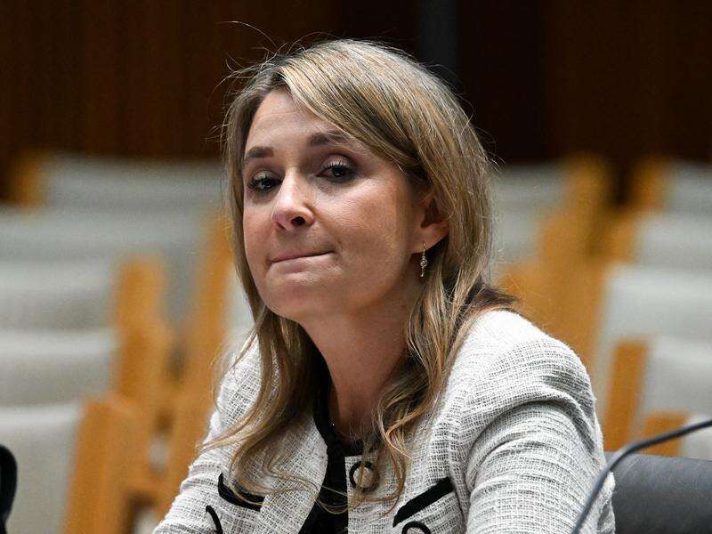 Embattled Optus CEO resigns after fraught 18 months | Country News