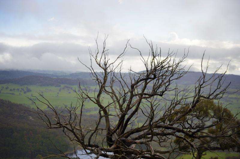 New survey on Strathbogie wind farm proposal | Country News