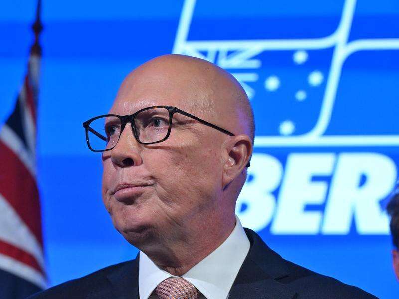 Liberals launch high-level probe into election drubbing | Country News