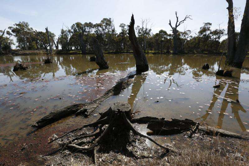 Tracking the environmental journey of floodplain projects | Country News