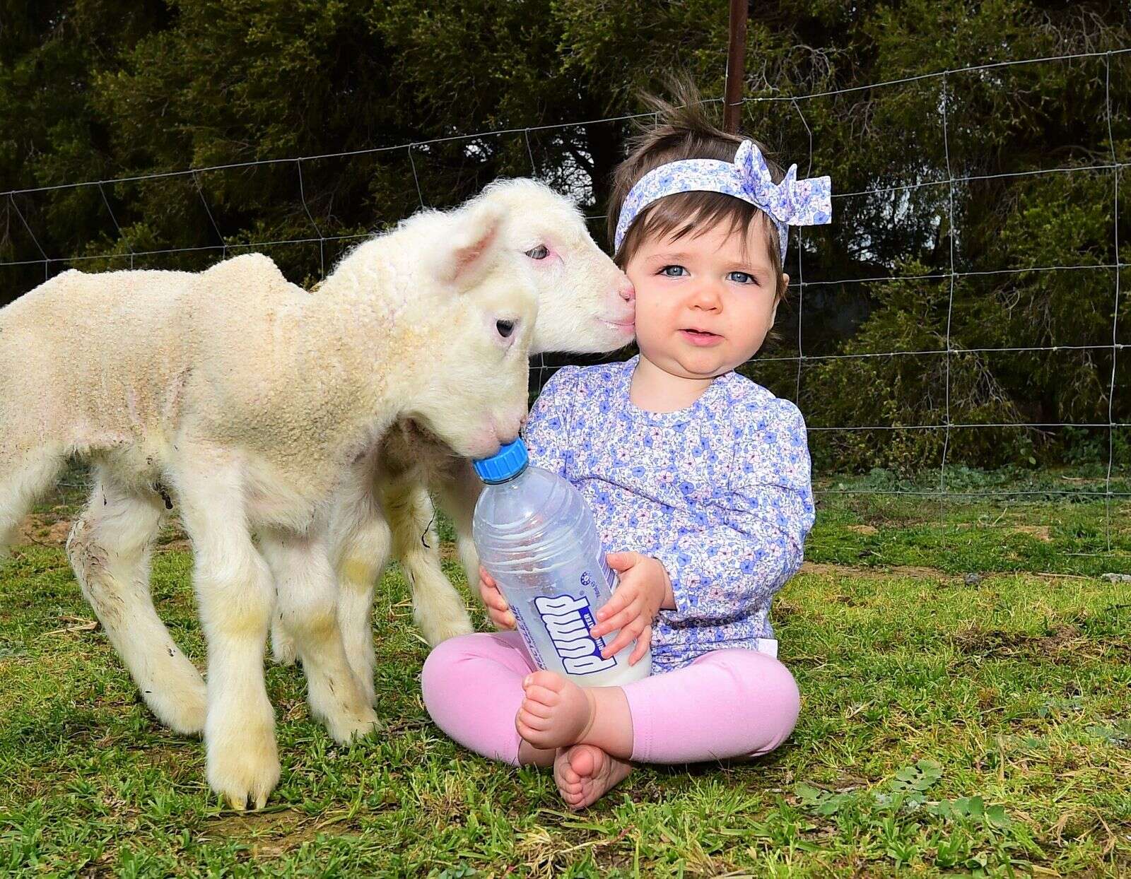 Spring in their step | Shepparton News