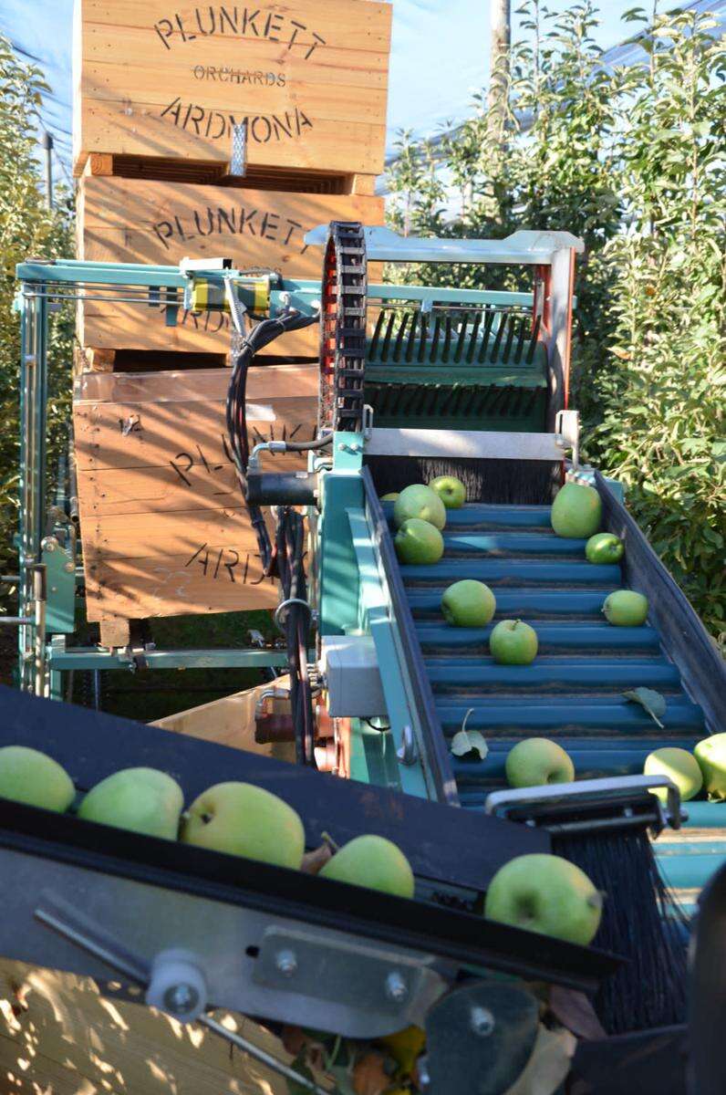 Cash incentives fail to attract pickers | Shepparton News