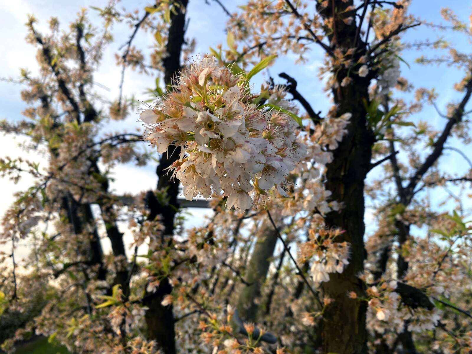 Tuesday weather | Shepparton forecast | Shepparton News