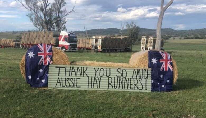 Hay Runners seeks GV’s help | Country News