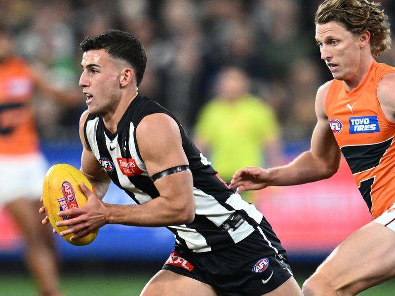 Magpies fans go wild for Daicos in prelim final return | Dairy News ...