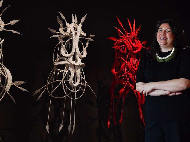 Crowds to explore new AGNSW building | Shepparton News