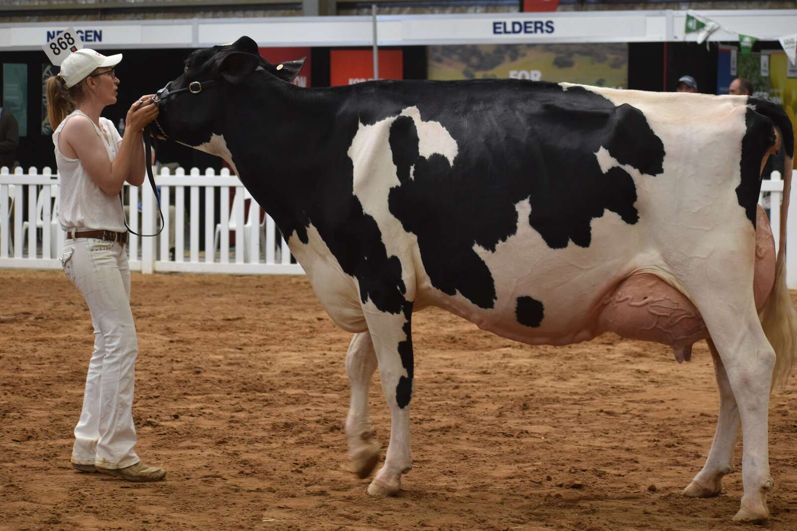 A dairy week to remember | Country News