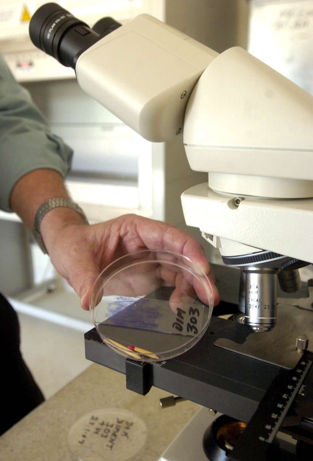 Swift action beat anthrax, says AgVic | Kyabram Free Press