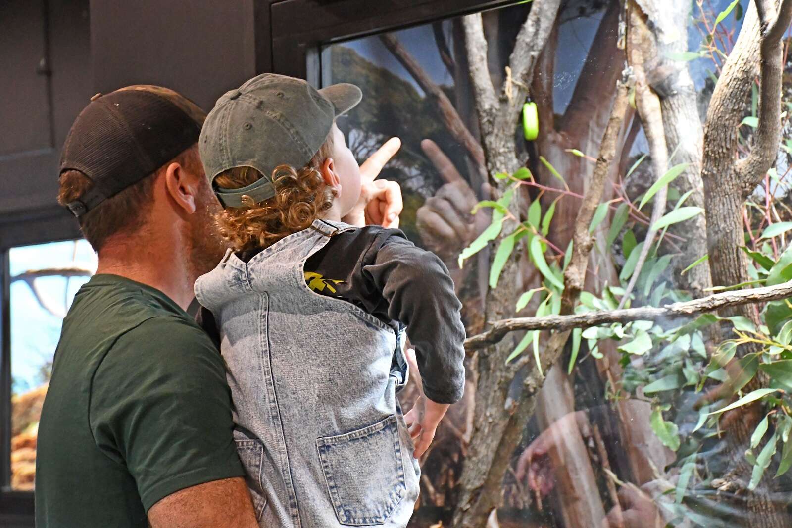 Kyabram Fauna Park to host community family event | Kyabram Free Press