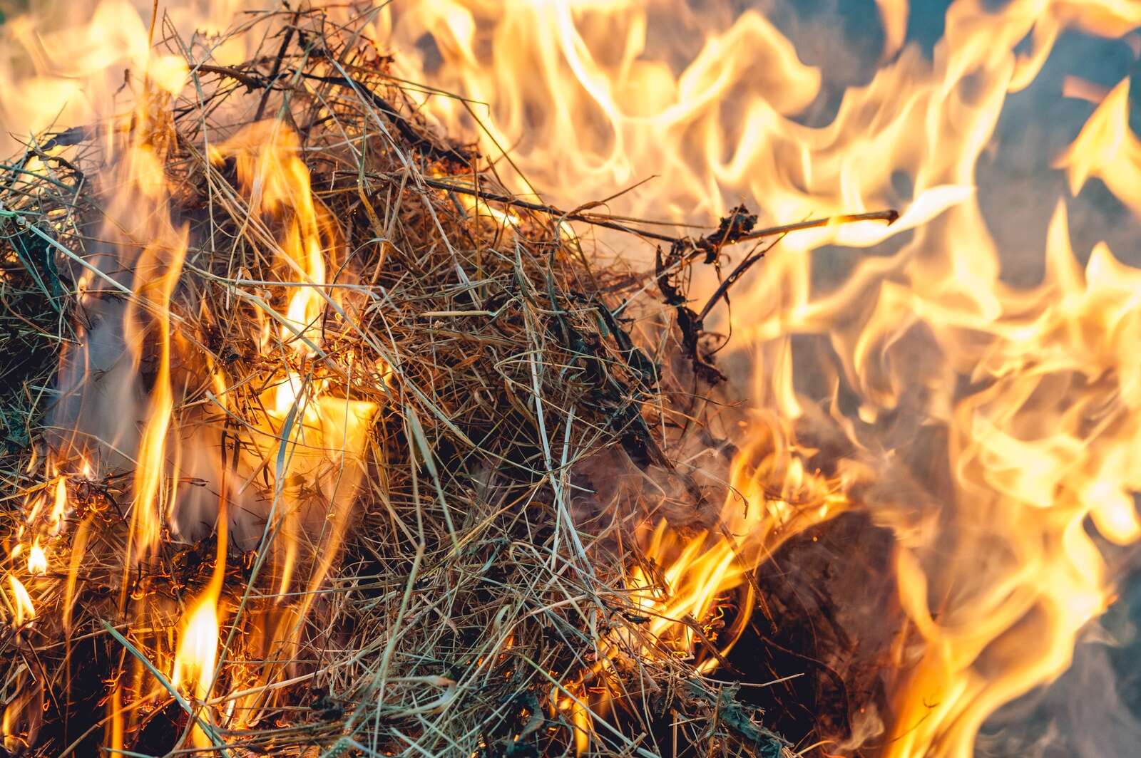 Escaped burn tears through 60ha | Country News