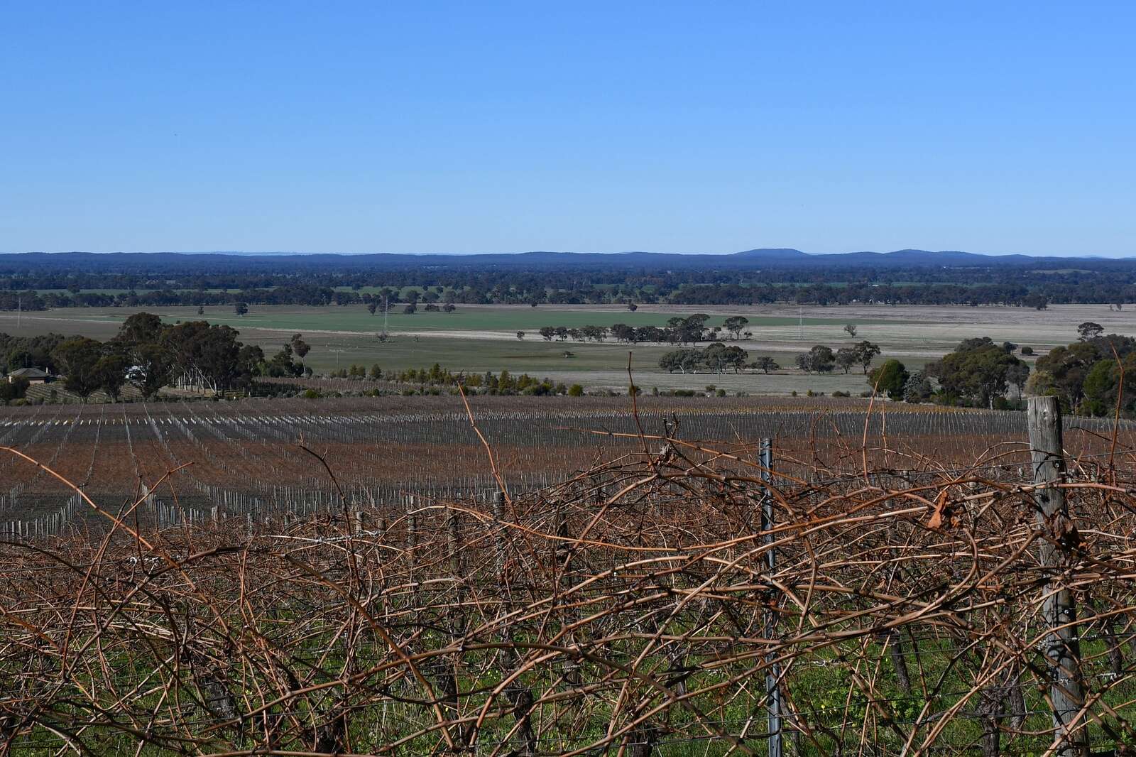 ‘Disappointing’ decision for 606-hectare solar farm | Shepparton News
