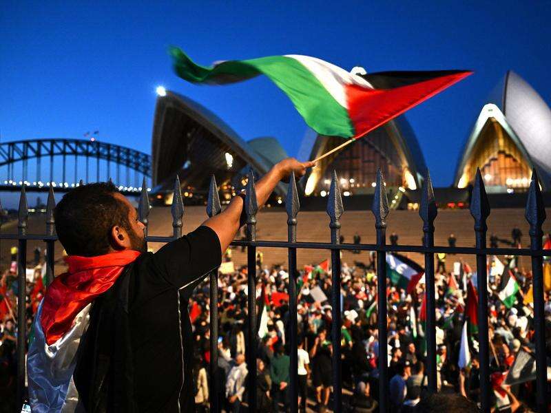 Pro-Palestine protest organiser 'deplored' Jewish slurs | Country News