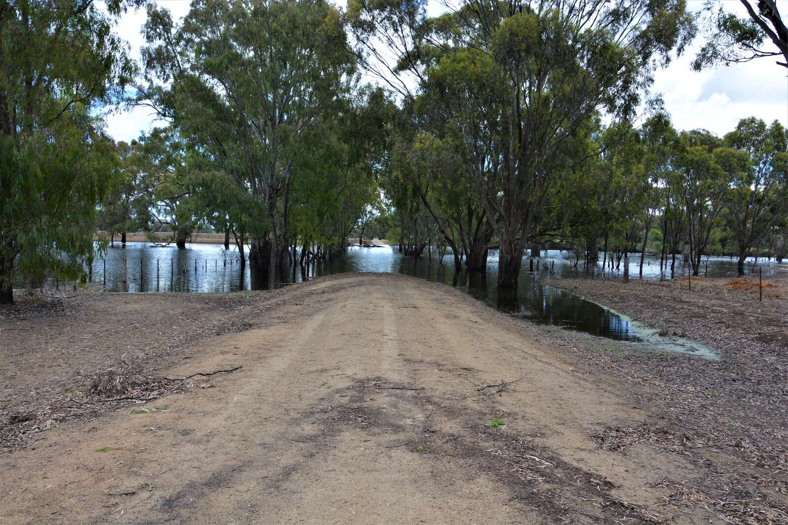 Community group astonished by government levee response | Shepparton News