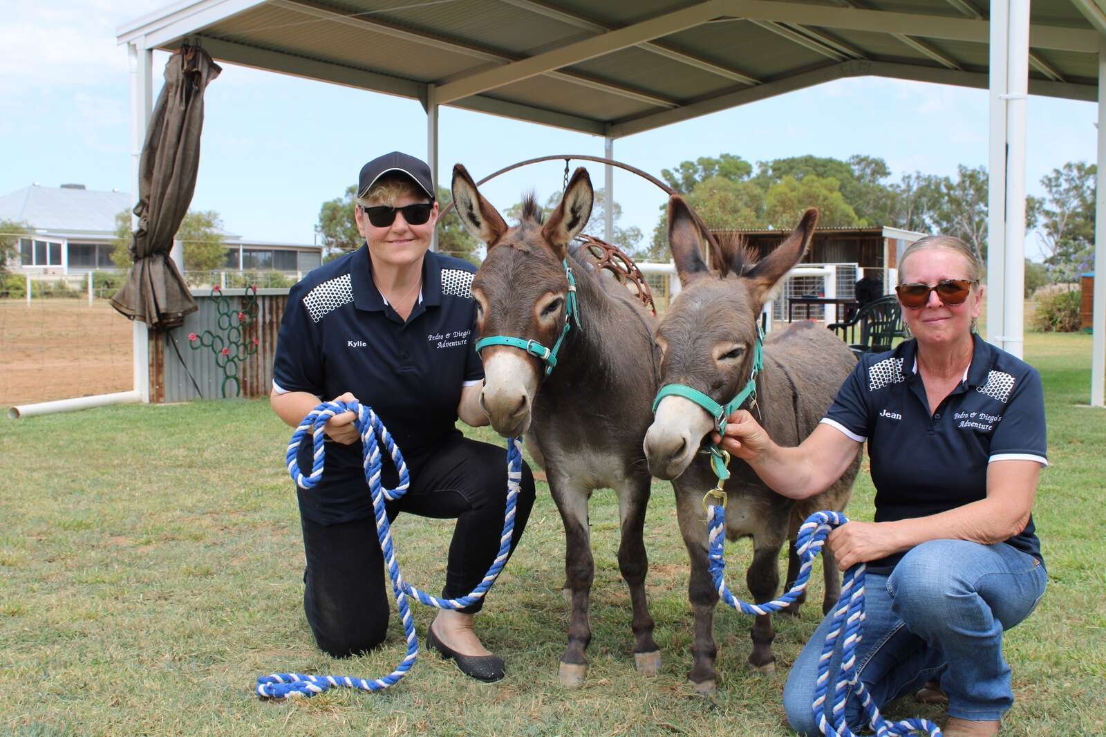 The (don)key to happiness is with Pedro and Diego | Dairy News Australia