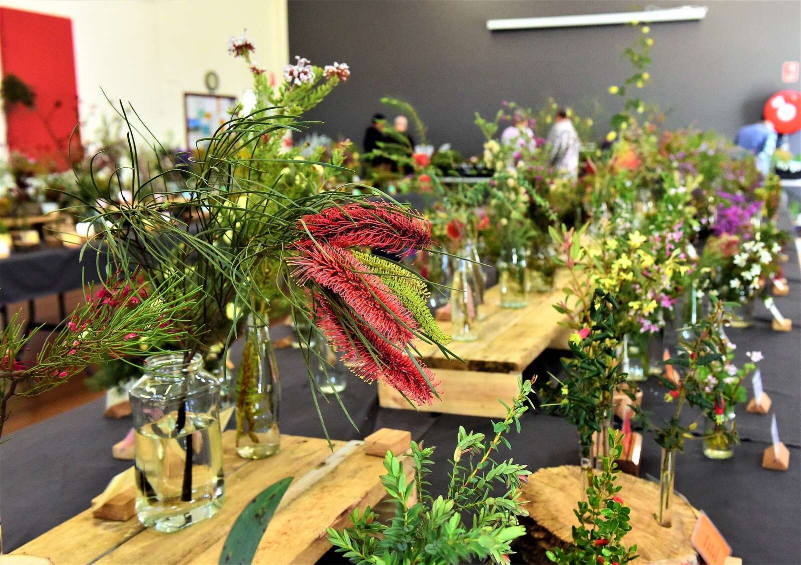 Native plants encourage native wildlife | Shepparton News