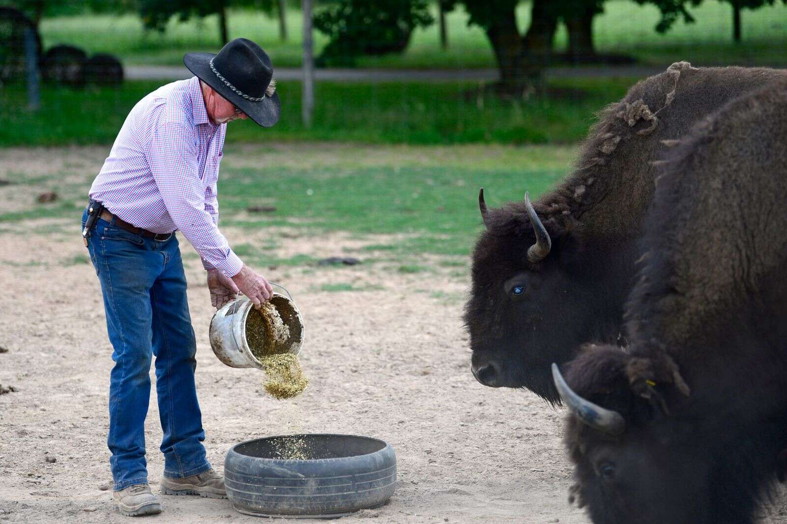 it-takes-a-farm-to-feed-a-zoo-shepparton-news