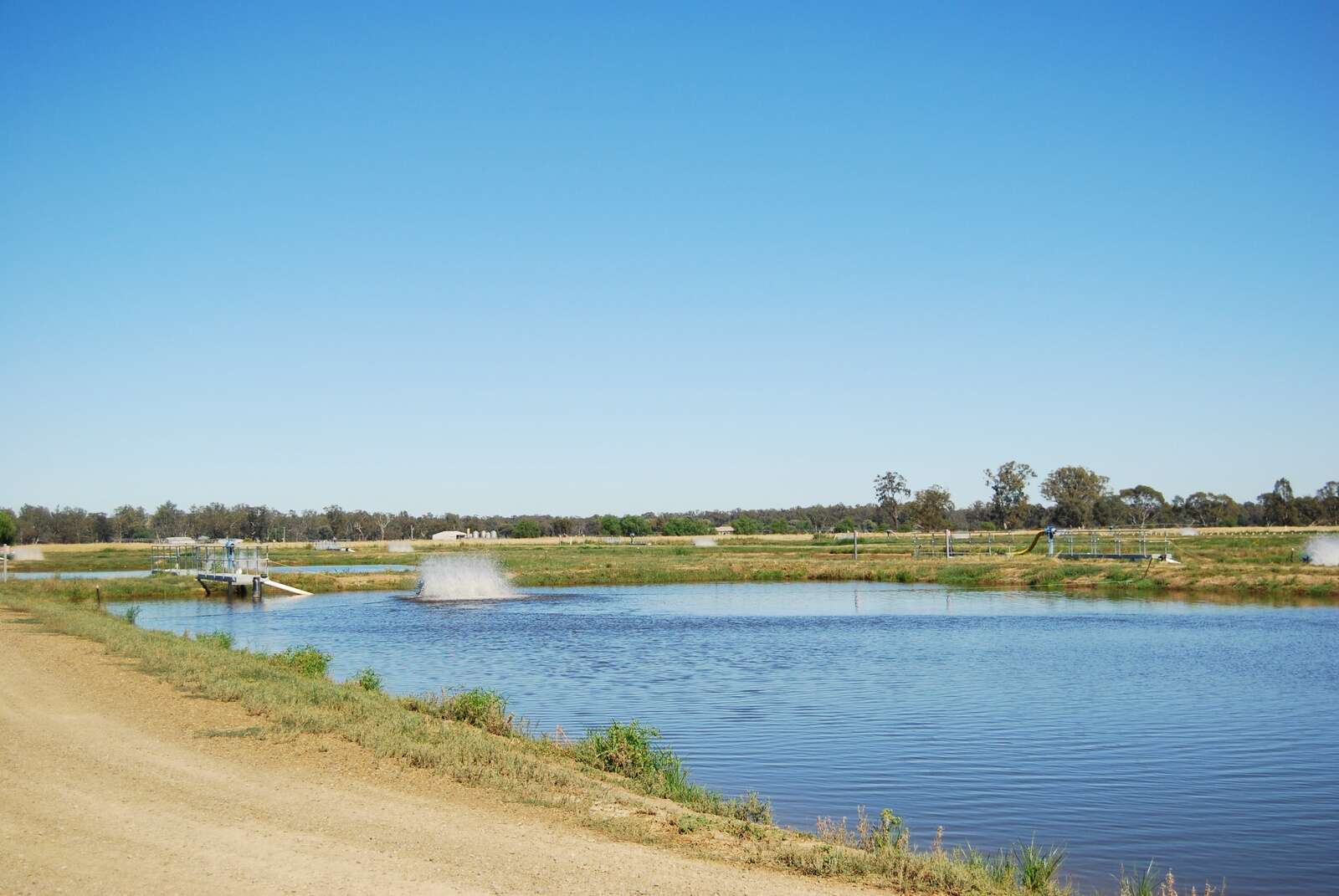 Arcadia fish hatchery nation’s biggest | Country News