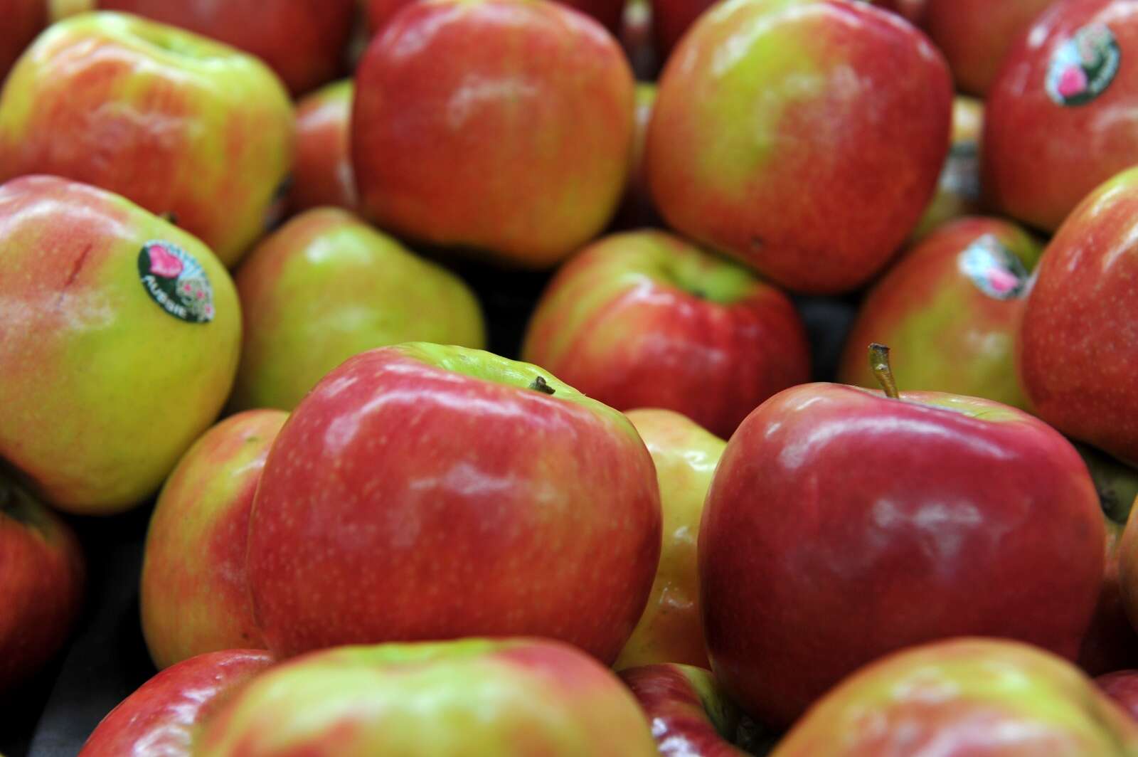 Hot, dry weather impacts Pink Lady harvest | Shepparton News