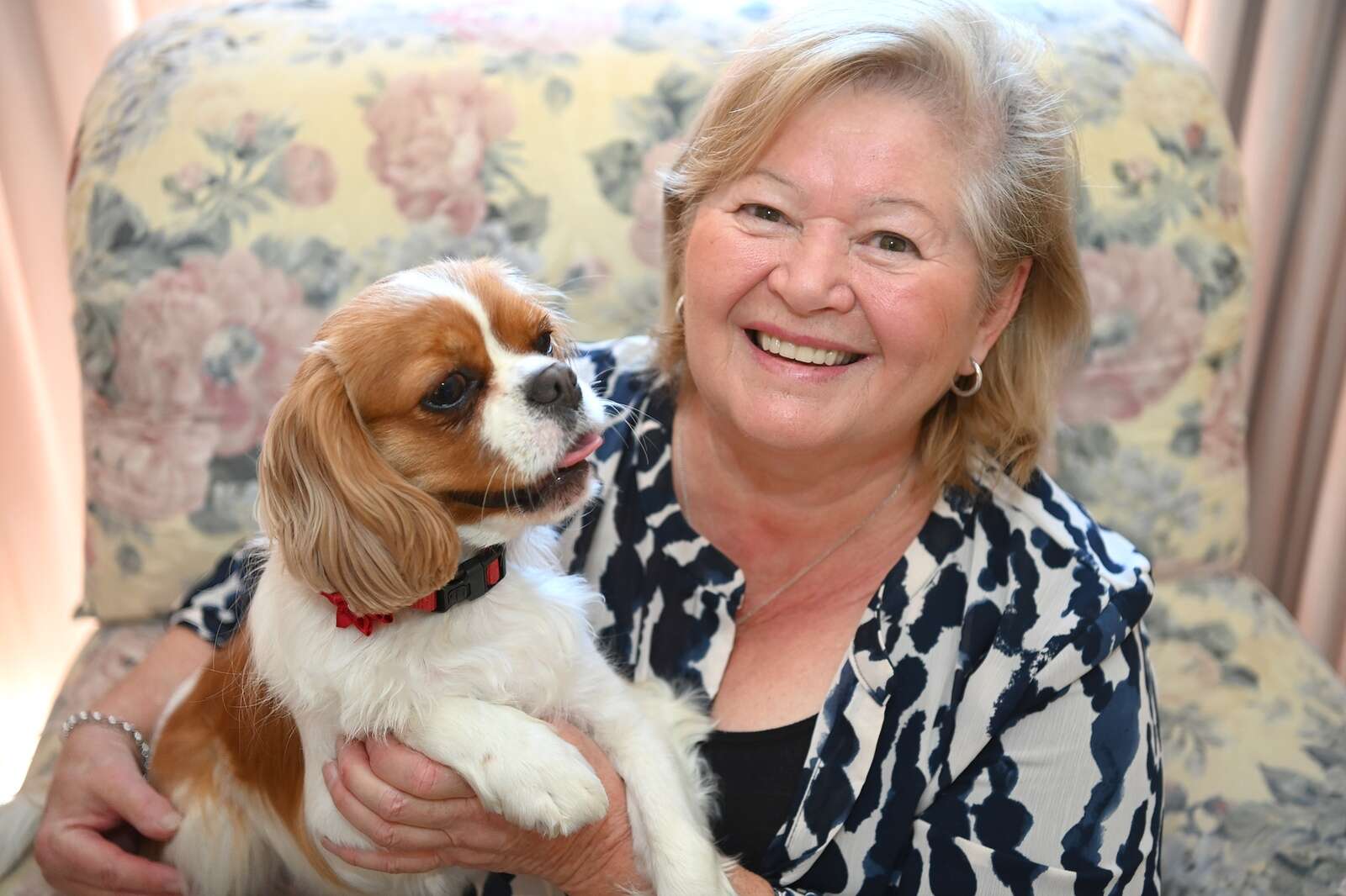 Penny’s a very happy pooch | Shepparton News