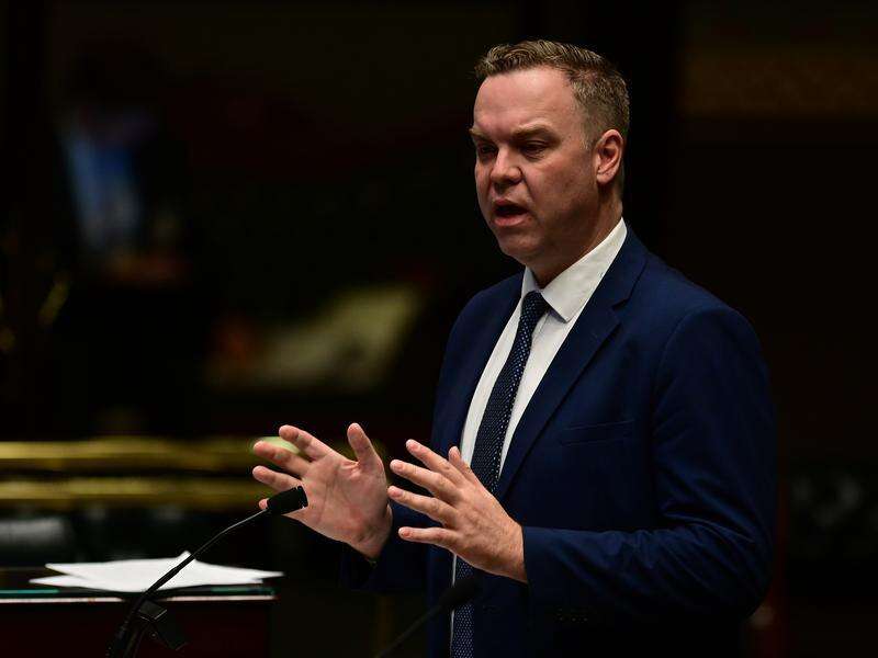 Councillor to lead Greens in key NSW seat | Country News