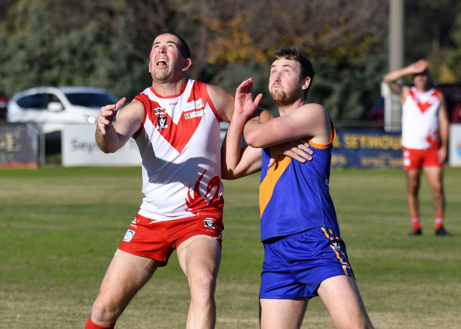 Wombats launch back-to-back bid | Kyabram Free Press