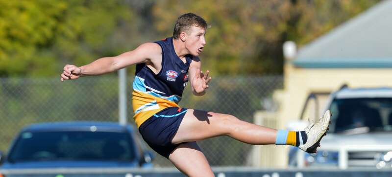 Josh Treacy set for big stage | Riverine Herald