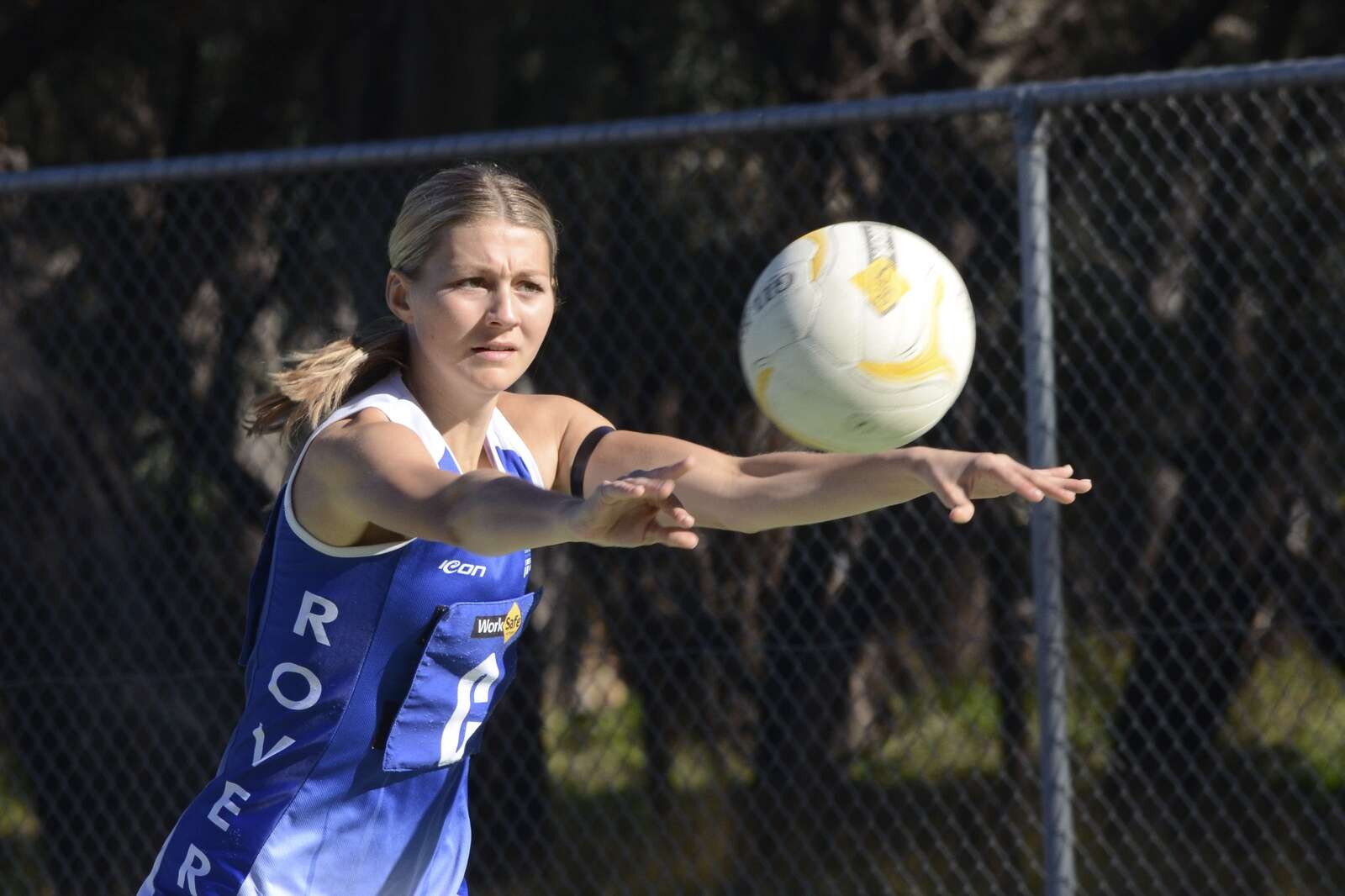 Wins almost all round | Seymour Telegraph