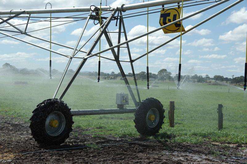 High hopes for pivot boost | Dairy News Australia