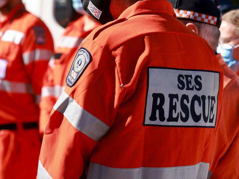 Surfer feared dead in SA shark attack, search ongoing | Shepparton News