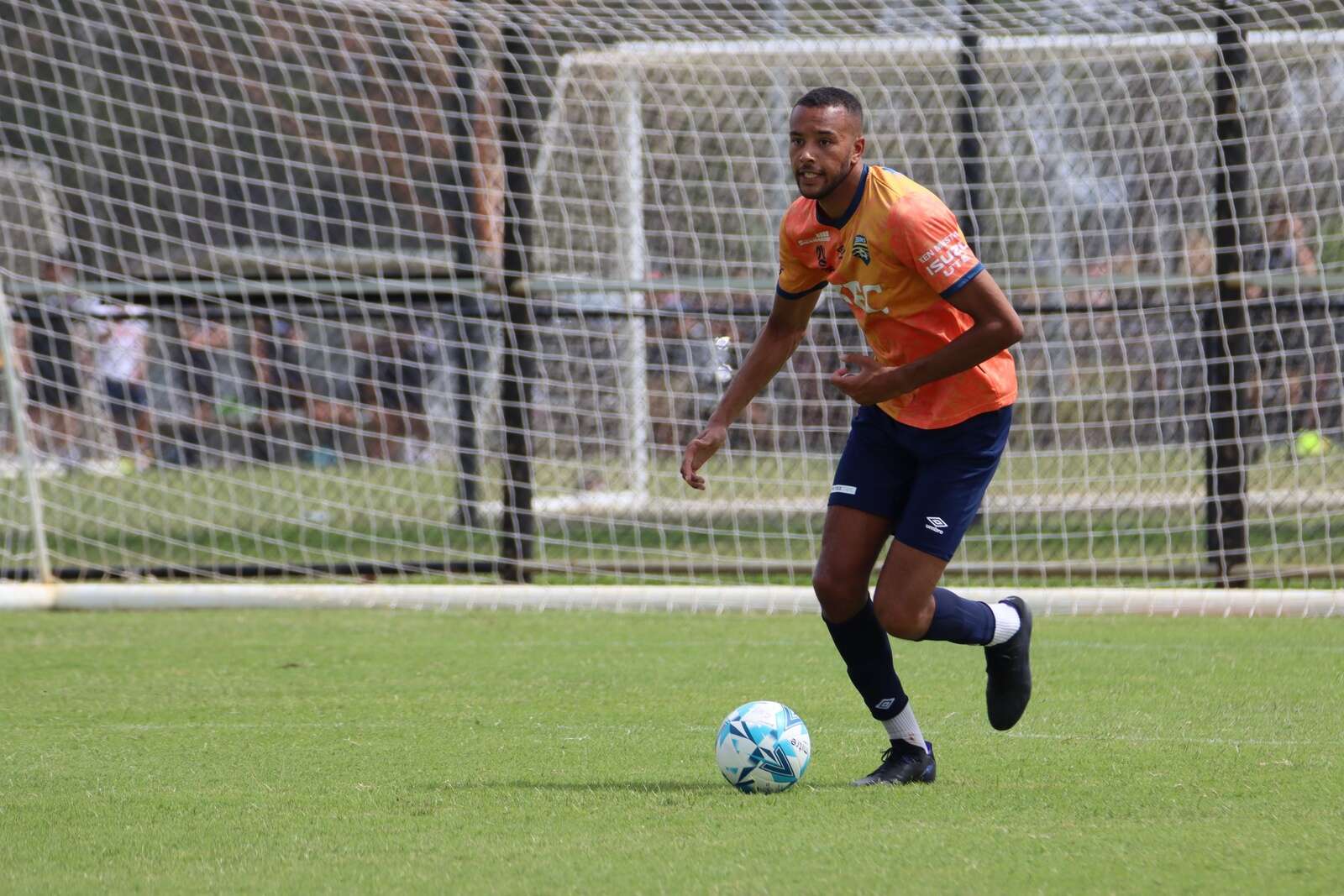 Meet the GV Suns’ newest additions | Shepparton News