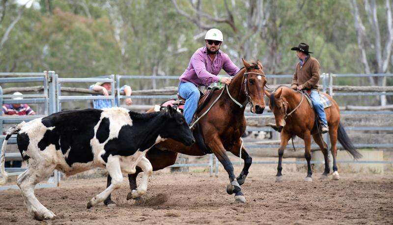 Barmah Muster and Woodchop back for an exciting weekend | Riverine Herald