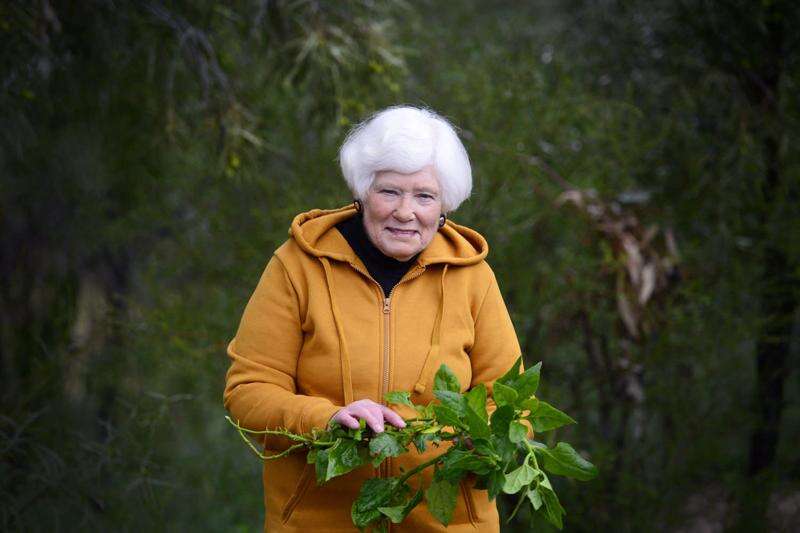 Congupna garden a celebration of edible natives | Riverine Herald