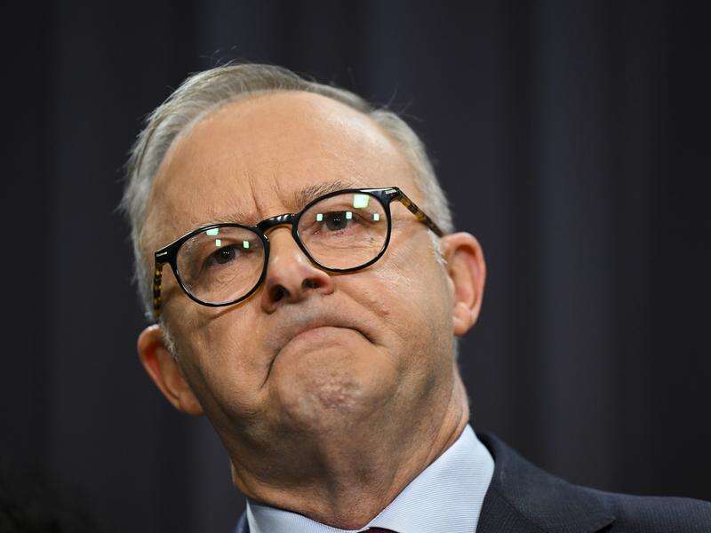 Albanese assures Indigenous voice legally sound | Country News