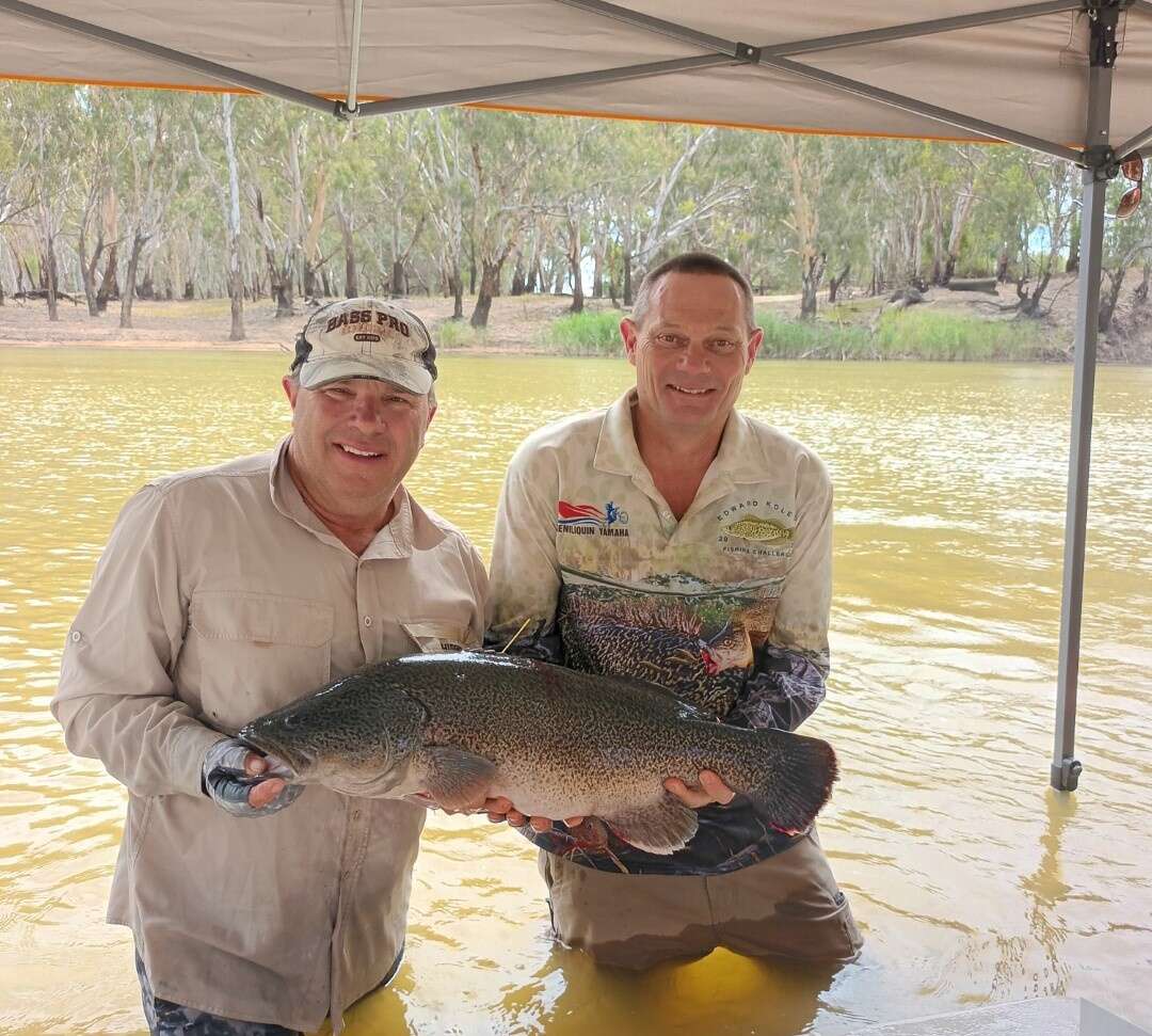 Oh my cod; look at the size of that! | Shepparton News