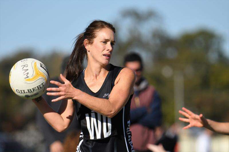 Wombats flex muscles against cellar dweller | Kyabram Free Press