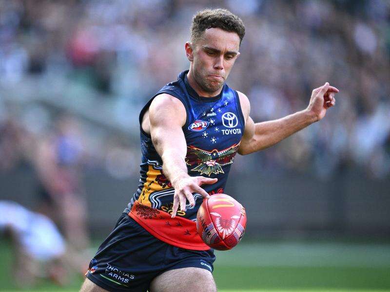 Sholl prominent as Adelaide sink St Kilda in AFL slog | Riverine Herald