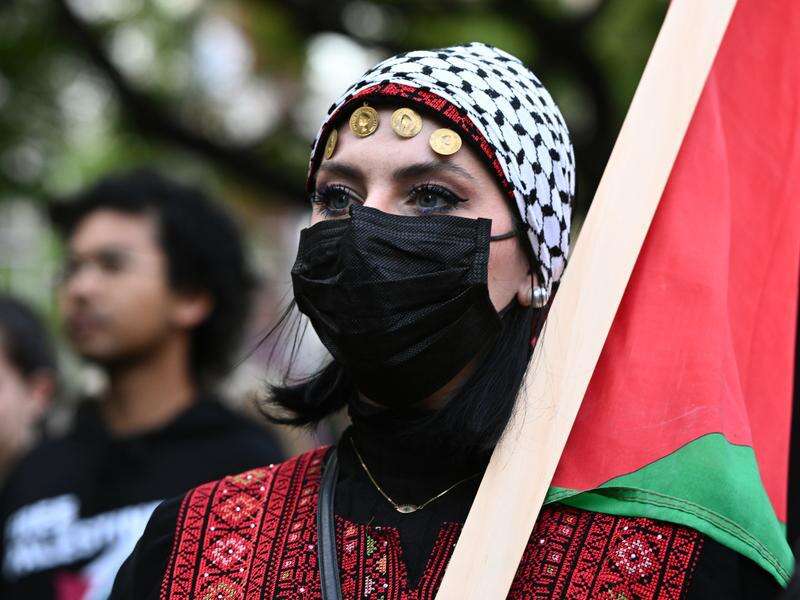 Pro-Palestine protest organiser 'deplored' Jewish slurs | Country News