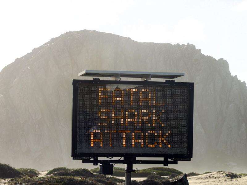 Australia leads world as fatal shark attacks double | Cobram Courier