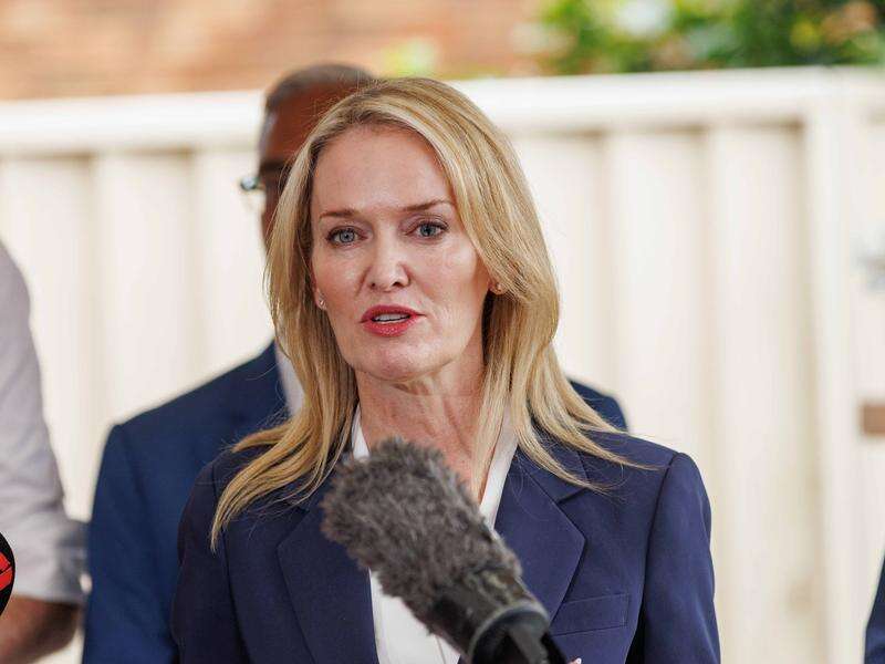 NSW Liberal MPs to decide fate of rising female star | Country News