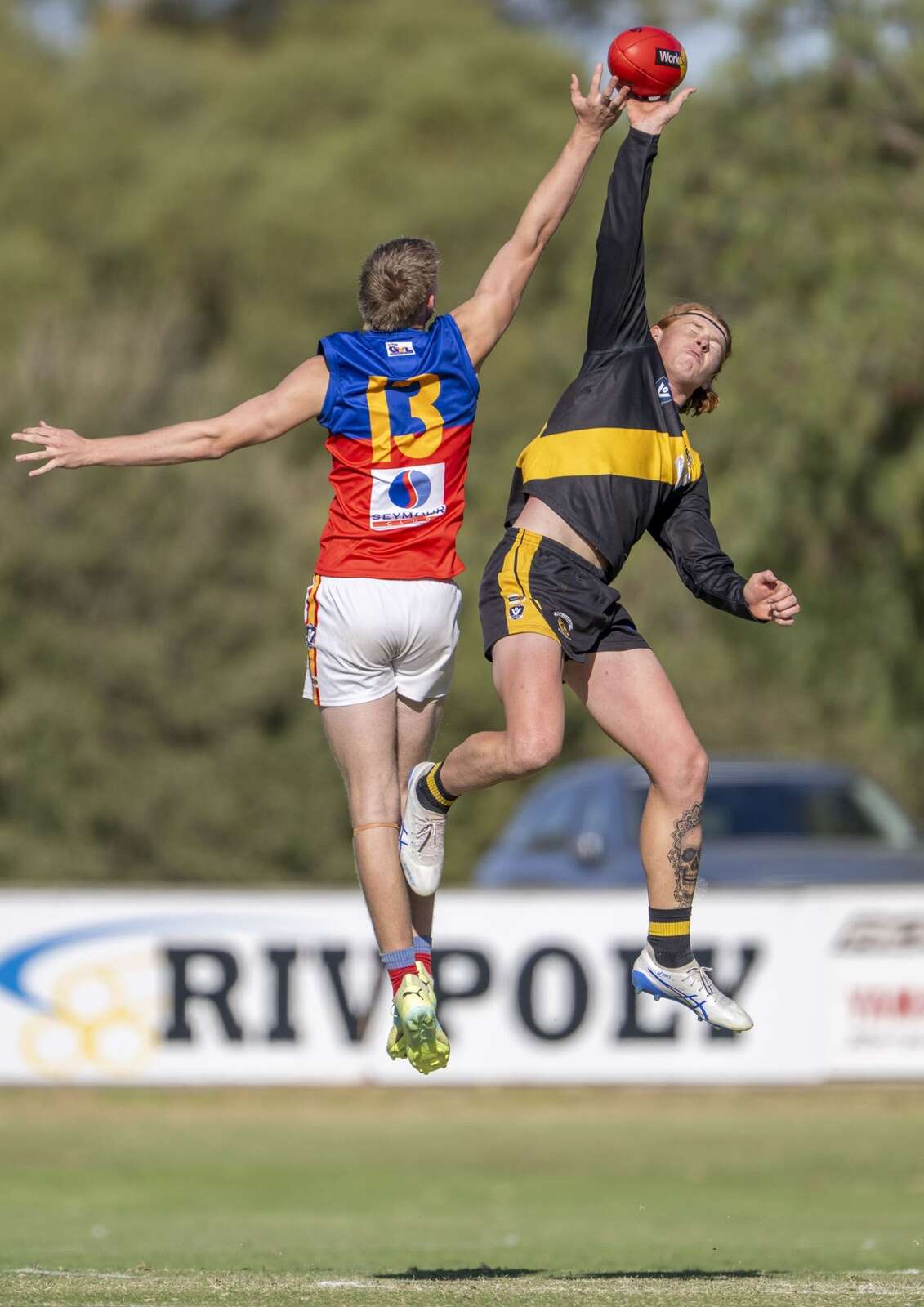 Gallery | Tigers claws out in opening round | Campaspe News