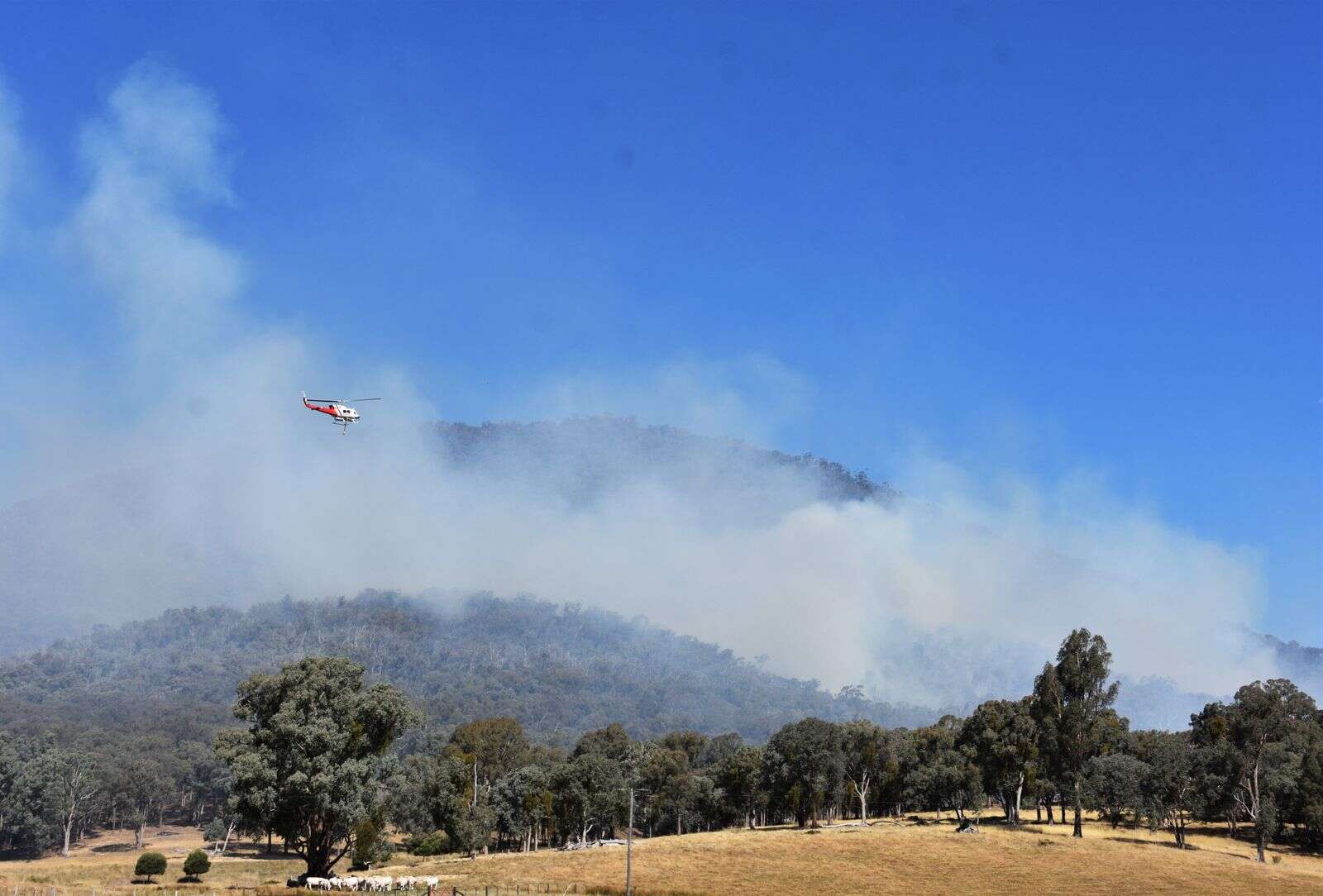 Parts of Victoria face increased bushfire risk | Benalla Ensign