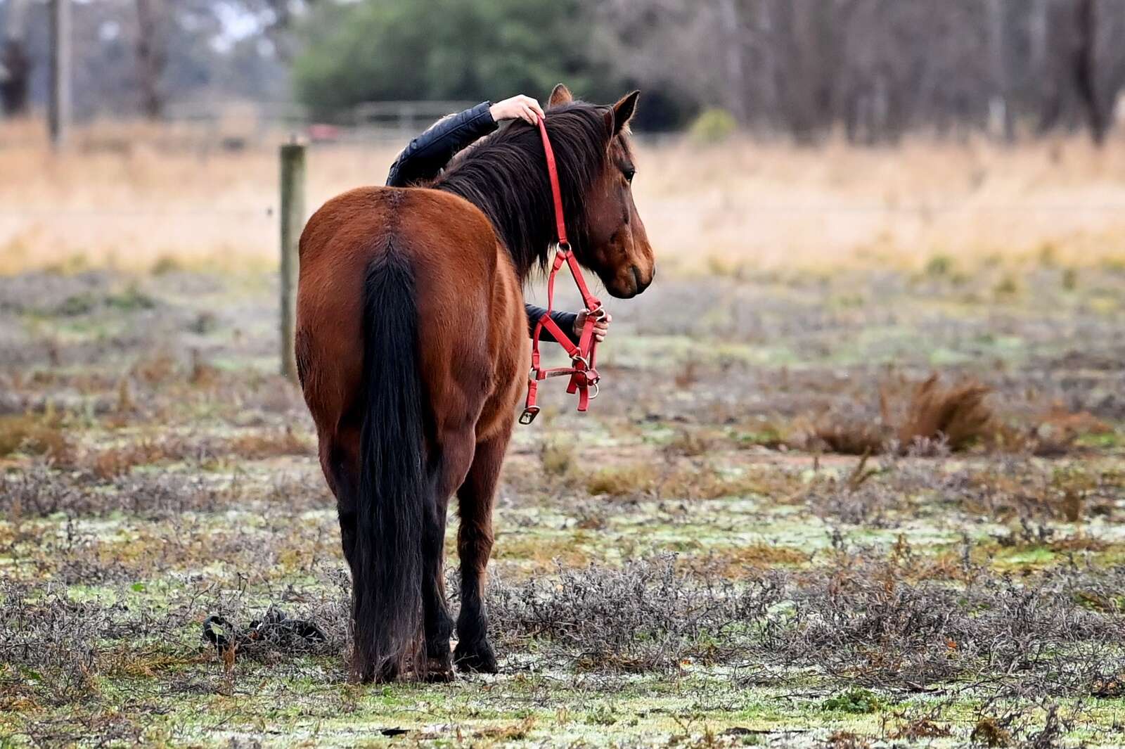 More than $1.5m awarded to projects across rural Australia | Shepparton ...