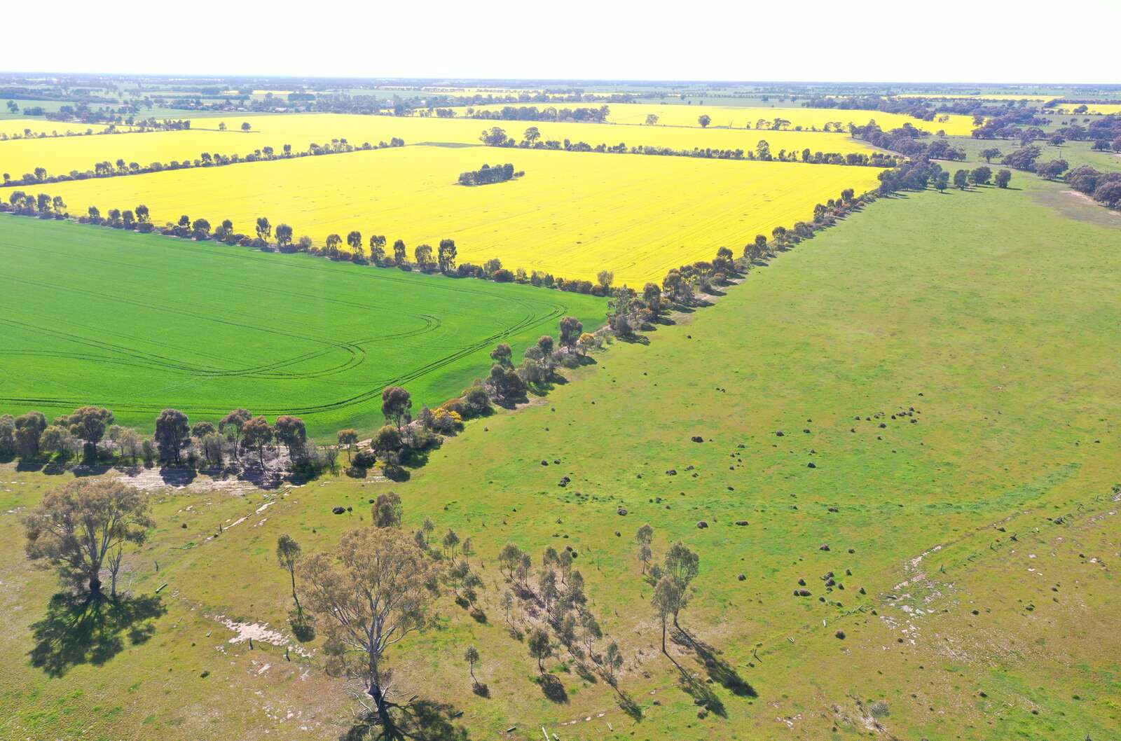 Draft water and land plan released for public comment | Corowa Free Press
