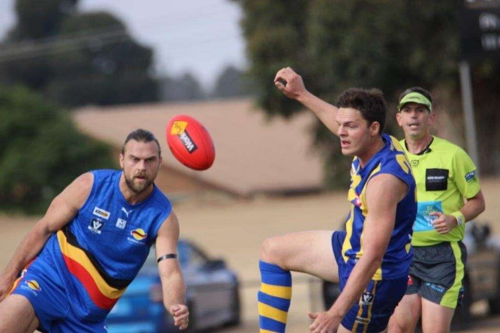 Rams roll improved Rumba | Deniliquin Pastoral Times